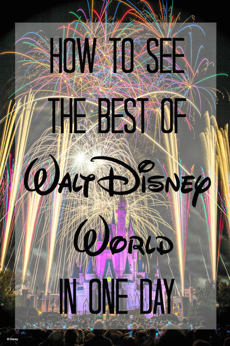 Ultimate Day Of Thrills Vip Tour Walt Disney World