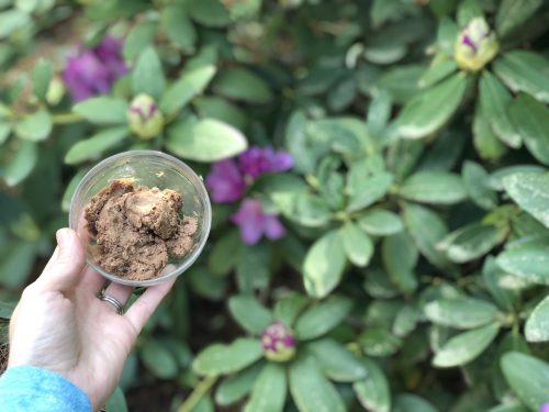 Armpit Fudge: A FUN Dessert Recipe That's Silly and Tasty! - Redhead ...