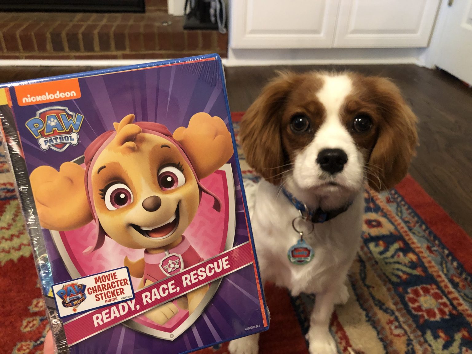 PAW Patrol: Pups Save the Kitten Catastrophe Crew - Redhead Baby Mama ...