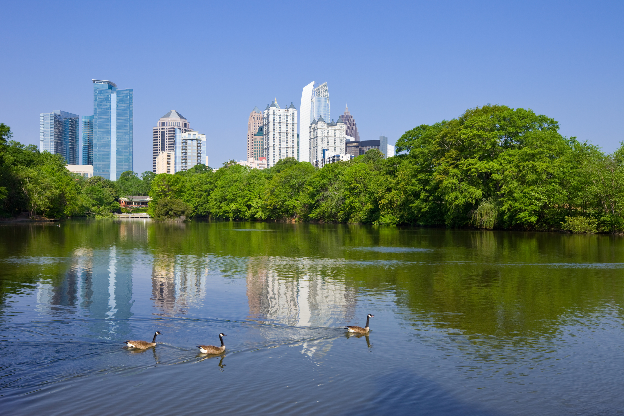 Have an Atlanta Staycation With These Things To Do Around the City ...